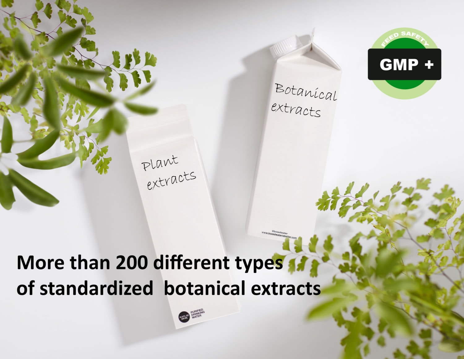 plant extract manufacturer