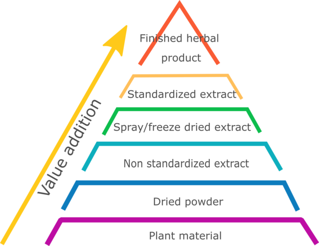 Plant extract vs Plant Powder - plant extracts manufacturer